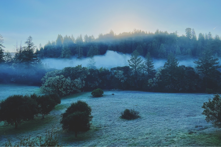 The Land in Philo, CA 95466 - (707) 4...